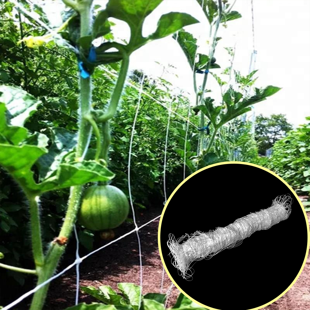 Greenhouse Agriculture Plastic Trellis Netting Plants Vegetables Bean ...