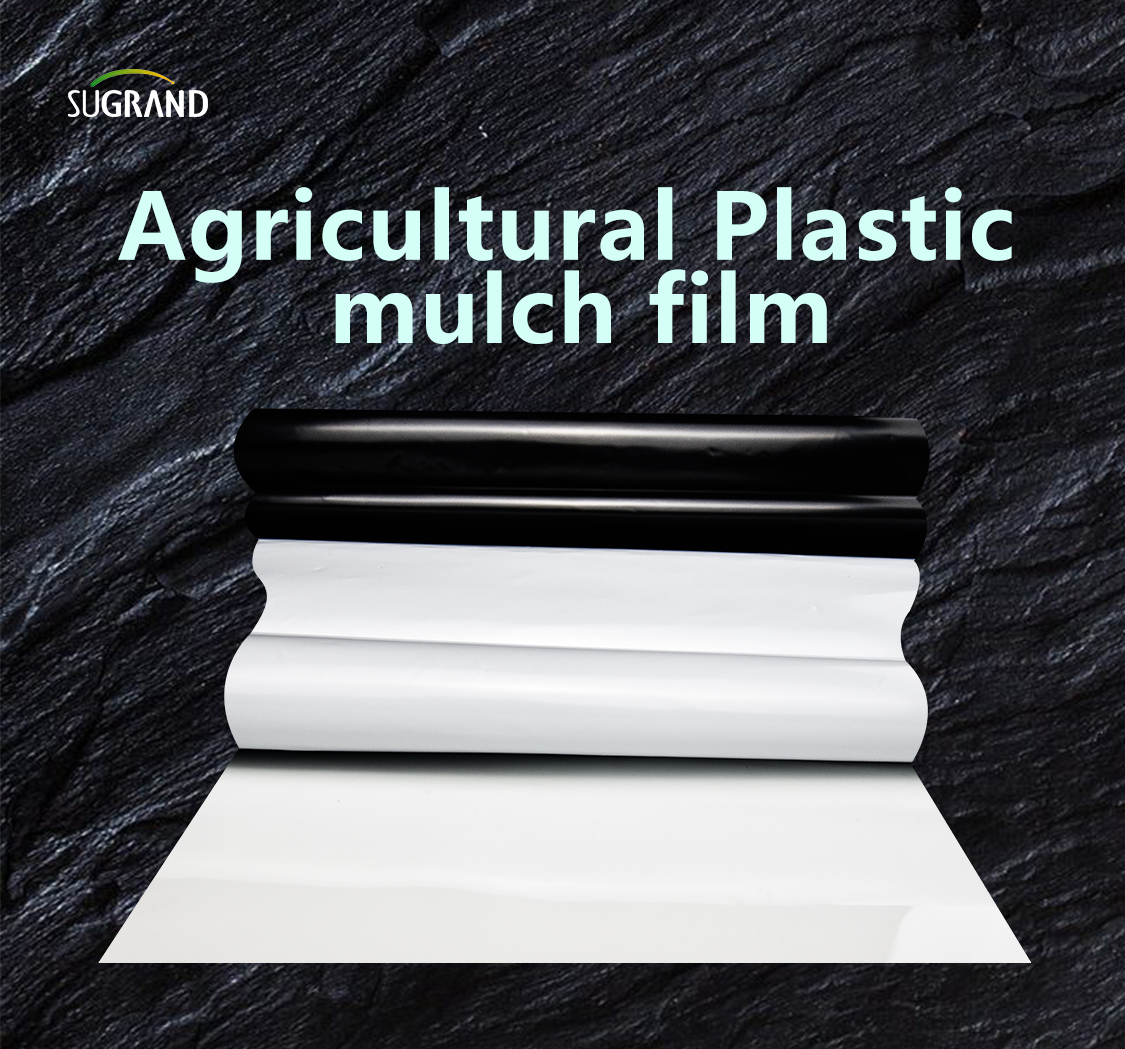 Garden Polyethylene Plastic Rolls Black Mulch Film for Agriculture - Buy Mulch Film for ...