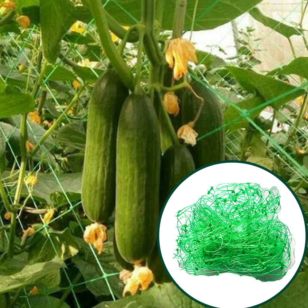 Support Plants Plastic Polypropylene Trellis Netting For Plants - Buy ...